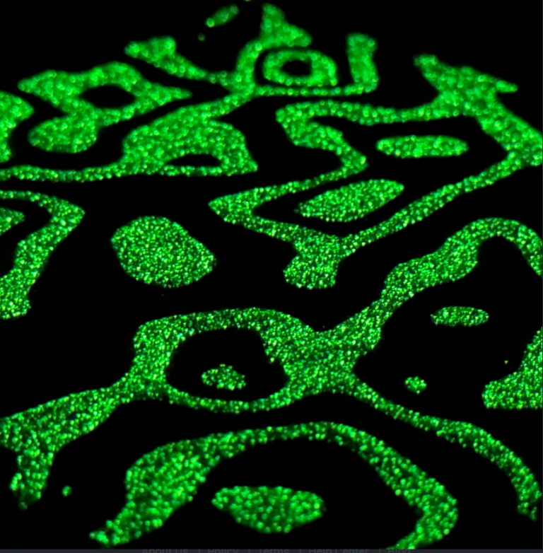 10 Amazing 3D Printed Wall Art Projects You’ll Love - PIXUP BLOG